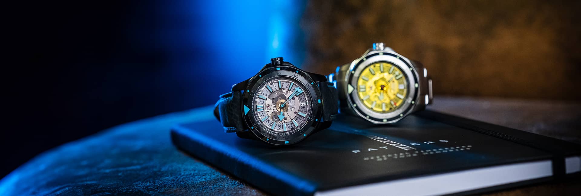 Diver Evolution – Fathers Watches